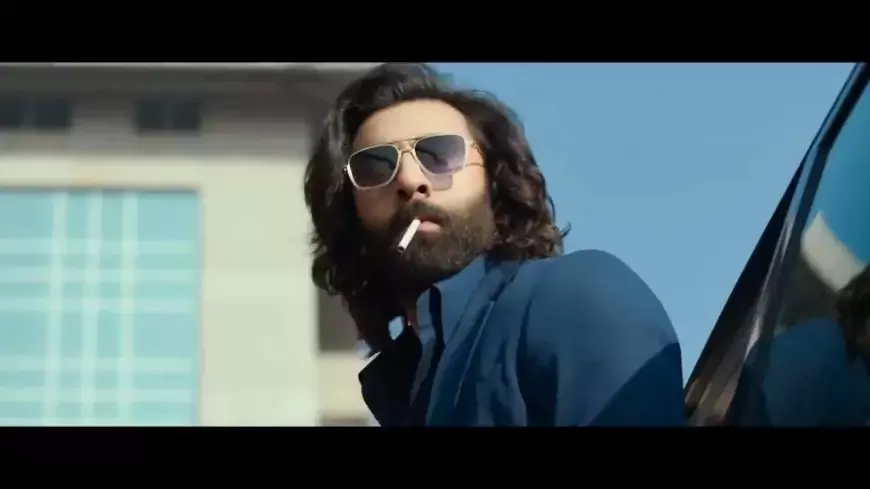 Animal Movie (2023) HdMovieHub, Filmyzilla Hindi Full Movie Watch ...