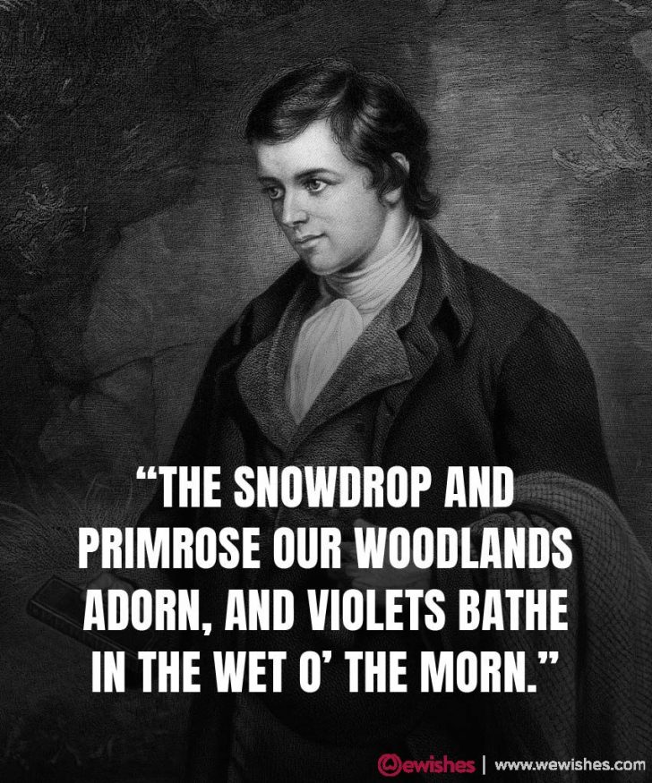 Robert Burns Quotes As A Pioneer of Romance – We Wishes