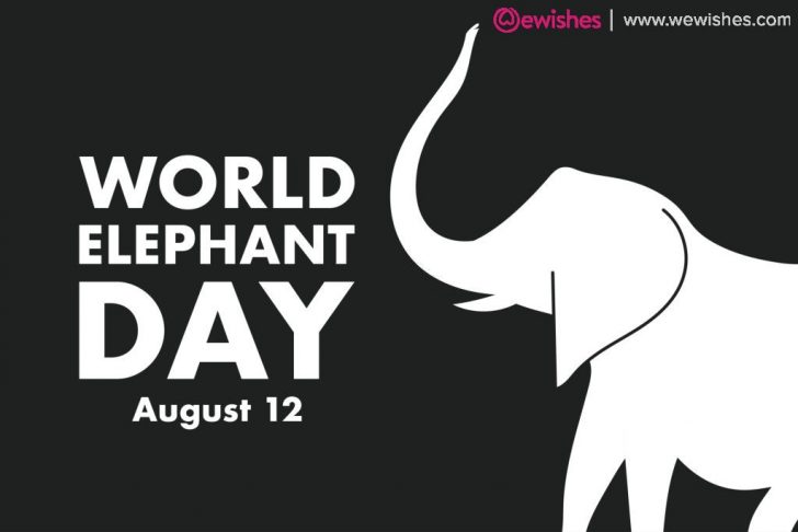 World Elephant Day 2023: Top Quotes and Wishes – We Wishes
