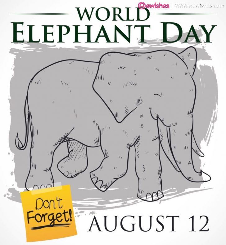 World Elephant Day: Top Quotes and Sayings | We Wishes