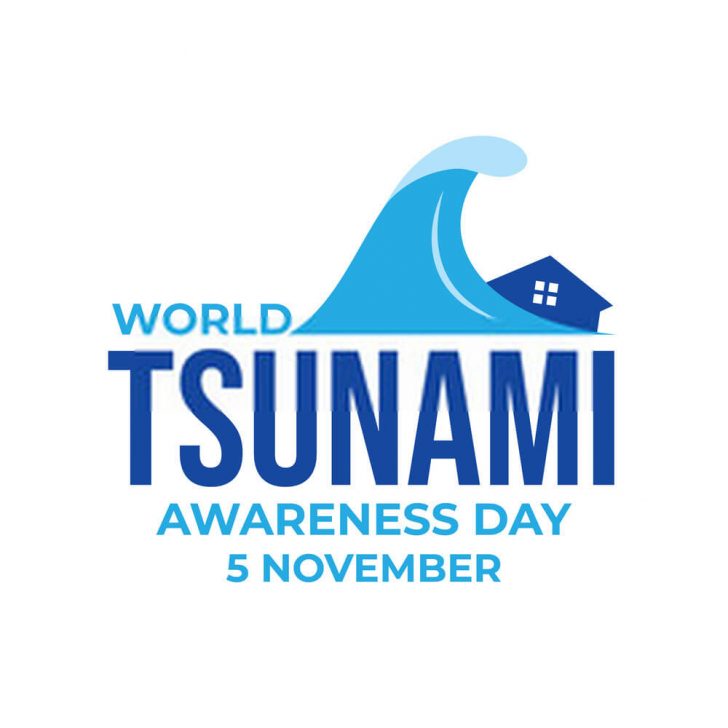 World Tsunami Awareness Day Quotes: Poster, Messages, History – 5 Nov ...