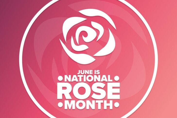 National Rose Day Wishes, Quotes, Images, Posters, Greetings, Messages ...