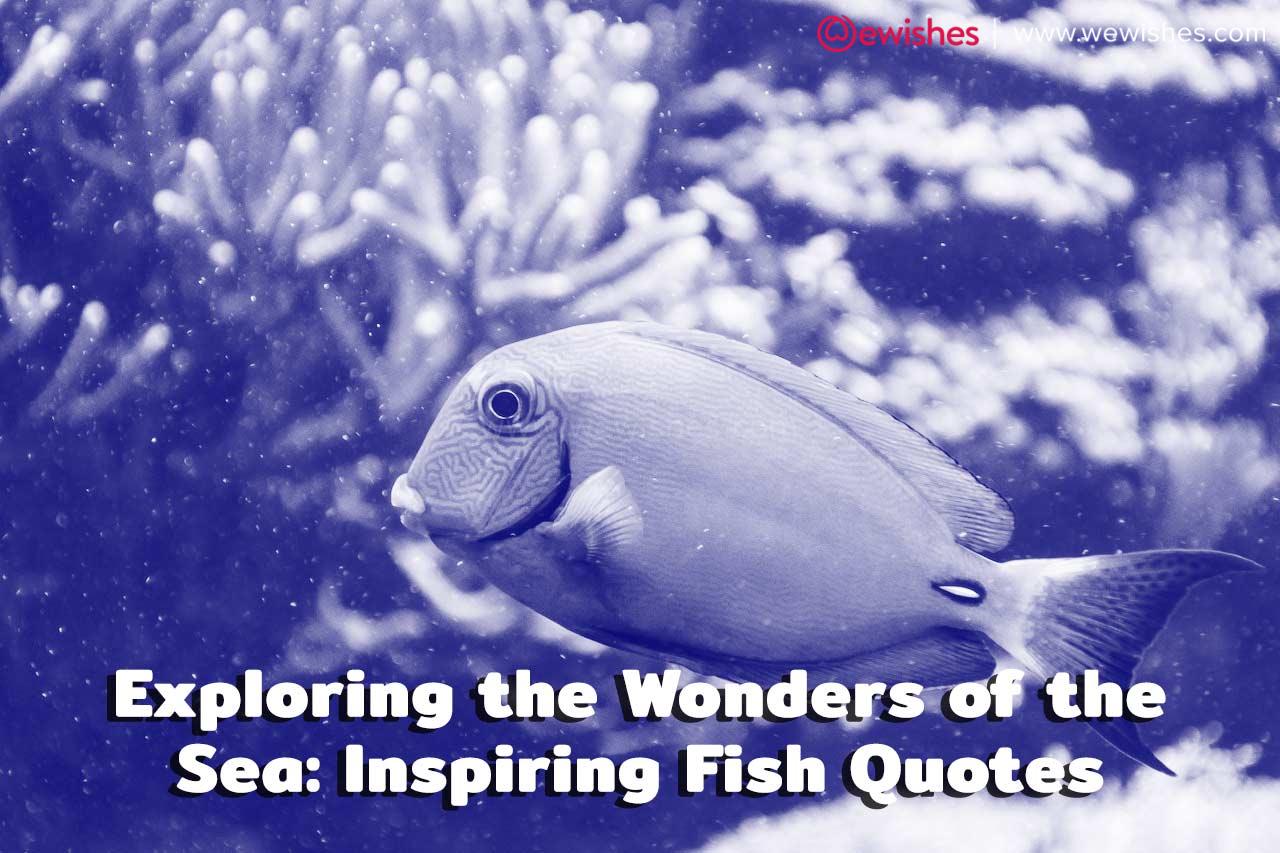 Exploring the Wonders of the Sea: Inspiring Fish Quotes – We Wishes