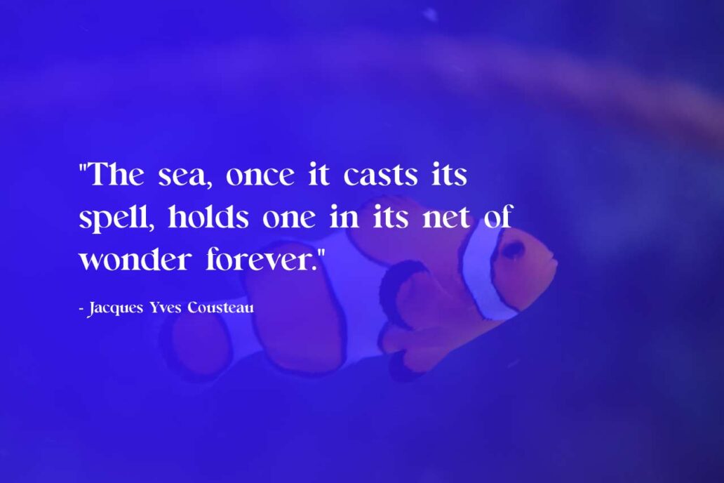 Exploring the Wonders of the Sea: Inspiring Fish Quotes – We Wishes