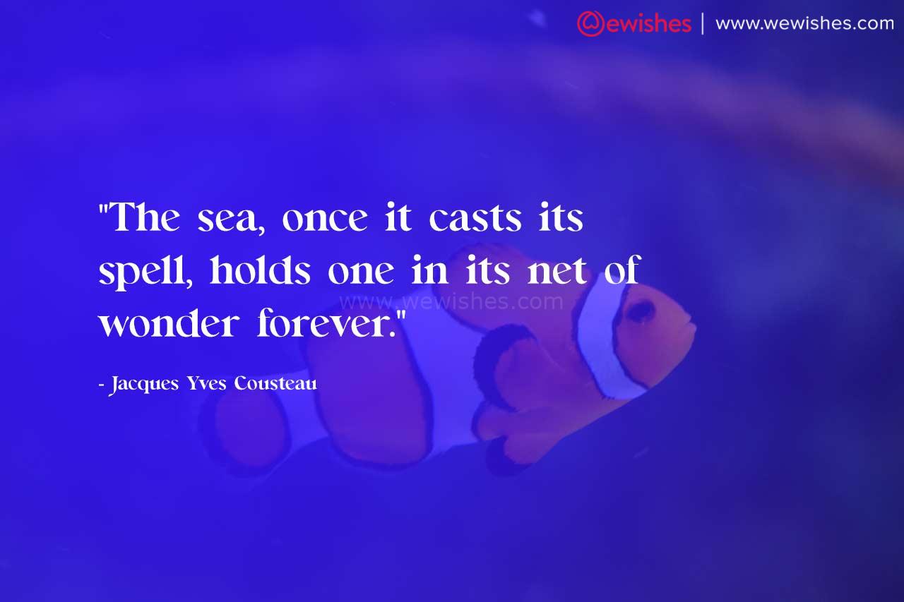 Exploring the Wonders of the Sea: Inspiring Fish Quotes – We Wishes