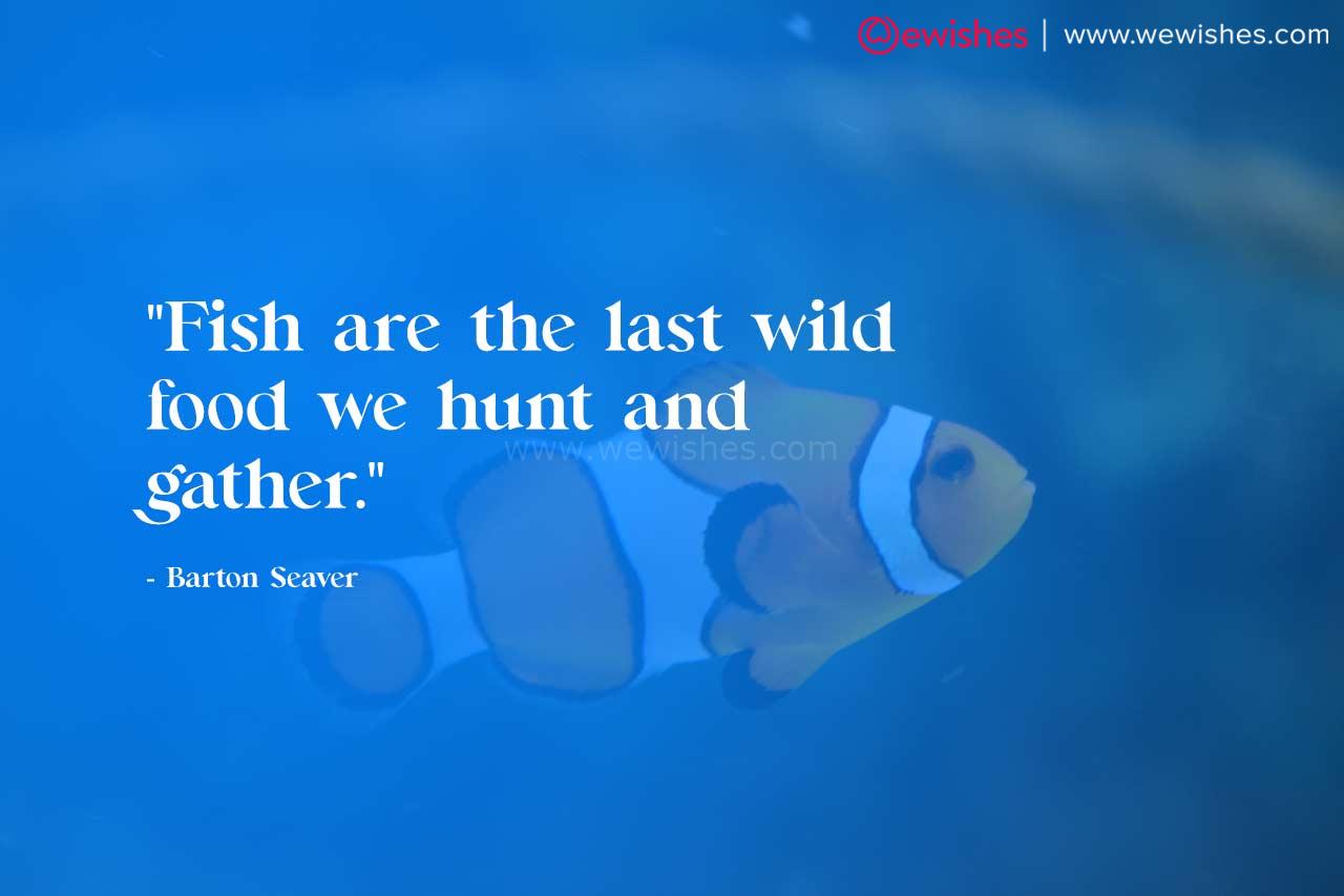 Exploring the Wonders of the Sea: Inspiring Fish Quotes – We Wishes