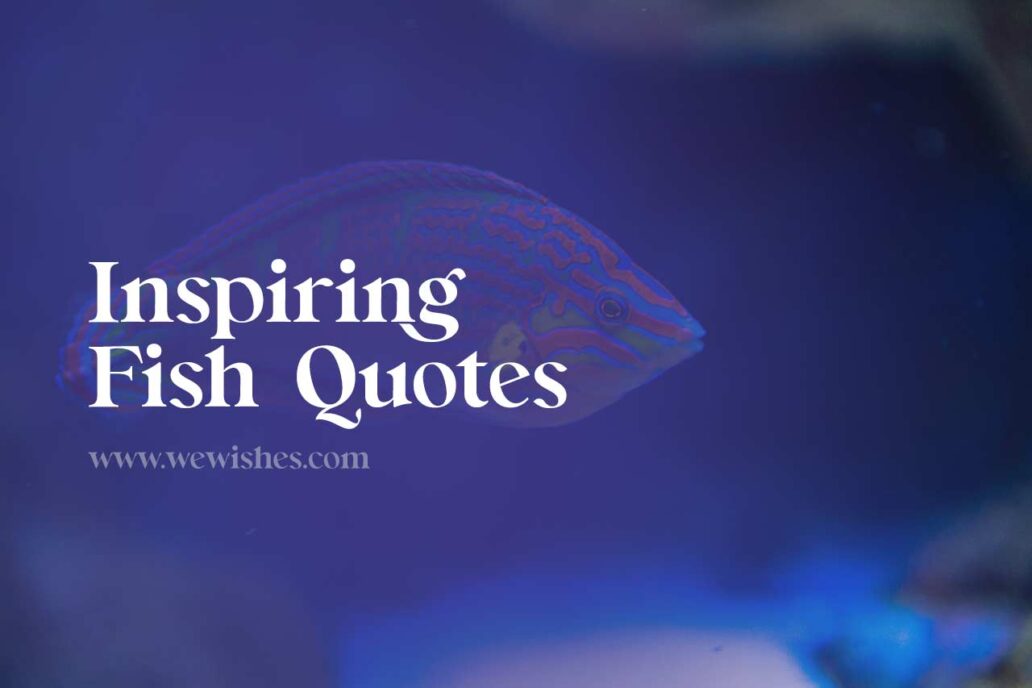 Exploring the Wonders of the Sea: Inspiring Fish Quotes – We Wishes