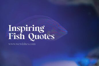 Exploring the Wonders of the Sea: Inspiring Fish Quotes – We Wishes