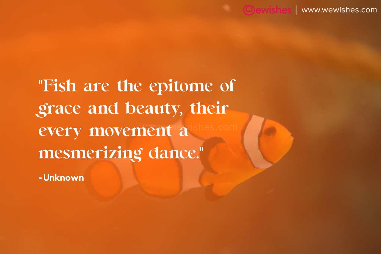 Exploring the Wonders of the Sea: Inspiring Fish Quotes – We Wishes